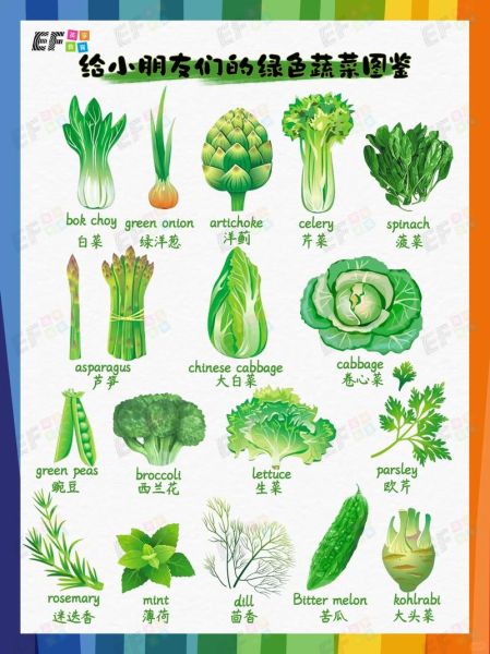 蔬菜品种大全有哪些_常见蔬菜名称怎么区分-第2张图片-山城妙识 蔬菜品种大全有哪些_常见蔬菜名称怎么区分-第2张图片-山城妙识