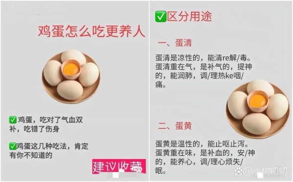 鸡蛋的营养价值_鸡蛋的功效与作用-第3张图片-山城妙识 鸡蛋的营养价值_鸡蛋的功效与作用-第3张图片-山城妙识