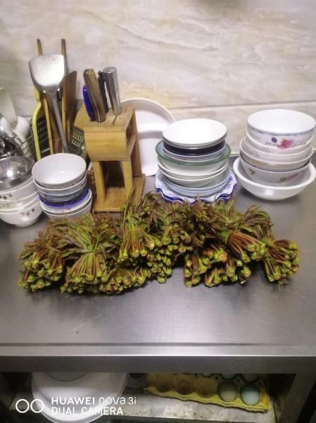 香椿芽怎么腌制_香椿芽腌制多久可以吃-第2张图片-山城妙识 香椿芽怎么腌制_香椿芽腌制多久可以吃-第2张图片-山城妙识