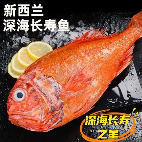 长寿鱼是什么鱼_长寿鱼图片怎么识别-第1张图片-山城妙识 长寿鱼是什么鱼_长寿鱼图片怎么识别-第1张图片-山城妙识