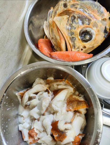 长寿鱼是什么鱼_长寿鱼图片怎么识别-第3张图片-山城妙识 长寿鱼是什么鱼_长寿鱼图片怎么识别-第3张图片-山城妙识