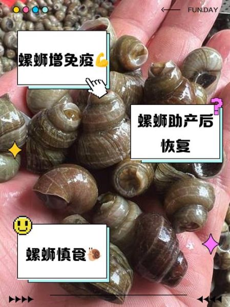 螺丝的功效与作用_螺丝为什么能紧固-第2张图片-山城妙识