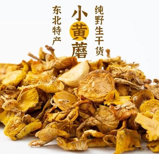 黄蘑菇的功效与作用_黄蘑菇怎么吃最营养-第3张图片-山城妙识 黄蘑菇的功效与作用_黄蘑菇怎么吃最营养-第3张图片-山城妙识