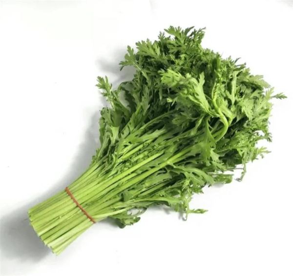 皇帝菜和茼蒿的区别_皇帝菜和茼蒿图片对比-第2张图片-山城妙识 皇帝菜和茼蒿的区别_皇帝菜和茼蒿图片对比-第2张图片-山城妙识