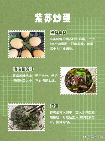鲜紫苏叶怎么吃最好_鲜紫苏叶最佳吃法-第1张图片-山城妙识 鲜紫苏叶怎么吃最好_鲜紫苏叶最佳吃法-第1张图片-山城妙识