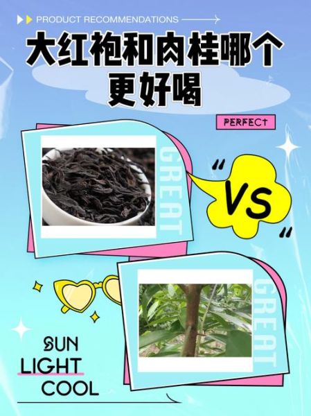 大红袍和肉桂的区别_哪个更好喝-第1张图片-山城妙识 大红袍和肉桂的区别_哪个更好喝-第1张图片-山城妙识