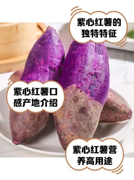 紫色红薯的功效与作用_紫色红薯怎么吃最营养-第1张图片-山城妙识 紫色红薯的功效与作用_紫色红薯怎么吃最营养-第1张图片-山城妙识