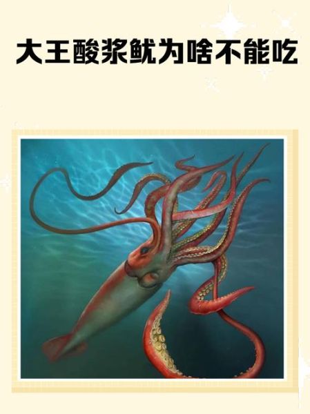 哪些人不适合吃鱿鱼_鱿鱼过敏人群有哪些-第3张图片-山城妙识 哪些人不适合吃鱿鱼_鱿鱼过敏人群有哪些-第3张图片-山城妙识