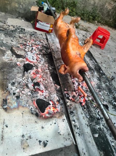 烤乳猪培训多少钱_学烤乳猪多久能学会-第1张图片-山城妙识 烤乳猪培训多少钱_学烤乳猪多久能学会-第1张图片-山城妙识