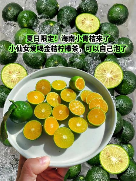 青柑橘的功效与作用_青柑橘怎么吃最好-第1张图片-山城妙识 青柑橘的功效与作用_青柑橘怎么吃最好-第1张图片-山城妙识
