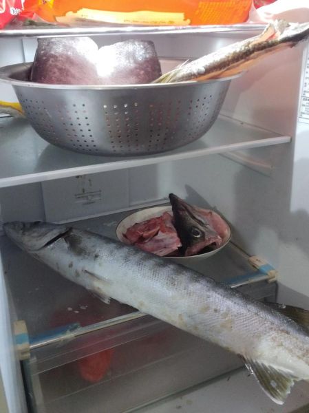 狼鱼条图片_狼鱼条怎么做好吃-第3张图片-山城妙识 狼鱼条图片_狼鱼条怎么做好吃-第3张图片-山城妙识