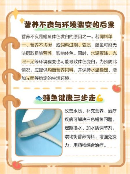 广东白鳝鱼多少钱一斤_白鳝鱼价格走势-第3张图片-山城妙识 广东白鳝鱼多少钱一斤_白鳝鱼价格走势-第3张图片-山城妙识