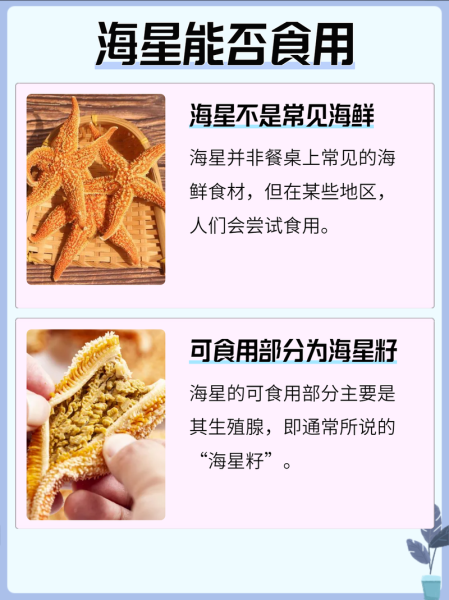 海星能吃吗_海星怎么吃-第1张图片-山城妙识 海星能吃吗_海星怎么吃-第1张图片-山城妙识