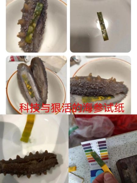 辽参多少钱一斤_辽参和海参的区别-第3张图片-山城妙识 辽参多少钱一斤_辽参和海参的区别-第3张图片-山城妙识