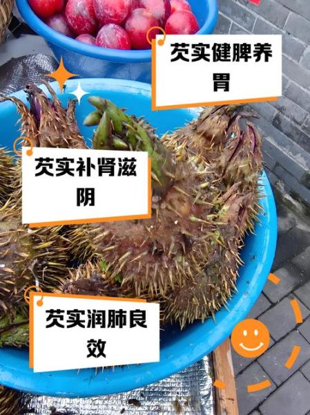 芡实产地哪里最好_芡实哪里的最正宗-第1张图片-山城妙识 芡实产地哪里最好_芡实哪里的最正宗-第1张图片-山城妙识