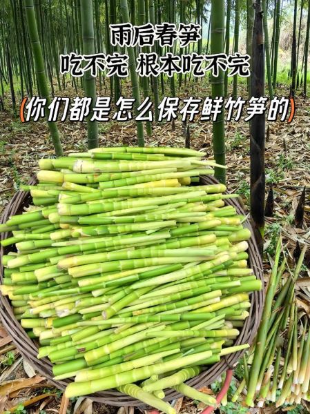 女人吃竹笋的危害_经期能不能吃竹笋-第2张图片-山城妙识 女人吃竹笋的危害_经期能不能吃竹笋-第2张图片-山城妙识