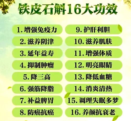 六种人不能吃石斛_石斛禁忌人群有哪些-第1张图片-山城妙识 六种人不能吃石斛_石斛禁忌人群有哪些-第1张图片-山城妙识