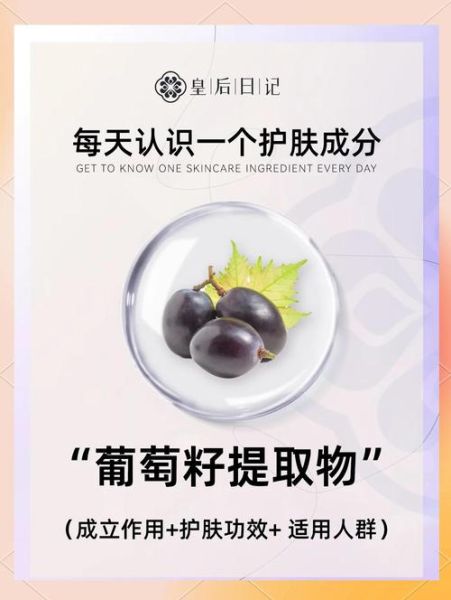 葡萄籽提取物有什么功效_葡萄籽提取物的作用与副作用-第1张图片-山城妙识 葡萄籽提取物有什么功效_葡萄籽提取物的作用与副作用-第1张图片-山城妙识