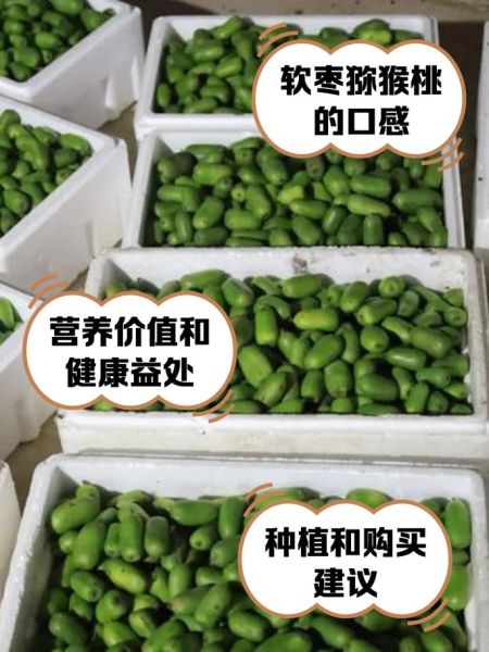 软枣猕猴桃的功效与作用_软枣猕猴桃怎么吃最好-第3张图片-山城妙识 软枣猕猴桃的功效与作用_软枣猕猴桃怎么吃最好-第3张图片-山城妙识