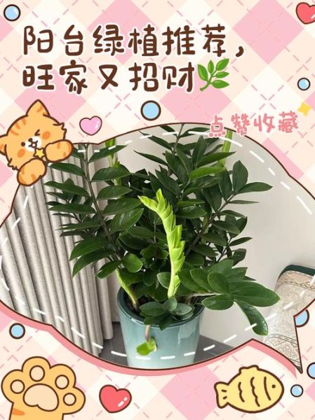 阳台化煞招财植物有哪些_如何摆放才旺财-第2张图片-山城妙识 阳台化煞招财植物有哪些_如何摆放才旺财-第2张图片-山城妙识