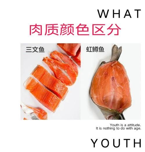 虹鳟鱼和三文鱼区别_虹鳟鱼图片和三文鱼图片对比-第3张图片-山城妙识 虹鳟鱼和三文鱼区别_虹鳟鱼图片和三文鱼图片对比-第3张图片-山城妙识