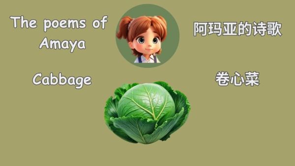 卷心菜英语怎么读_卷心菜英语发音技巧-第1张图片-山城妙识 卷心菜英语怎么读_卷心菜英语发音技巧-第1张图片-山城妙识