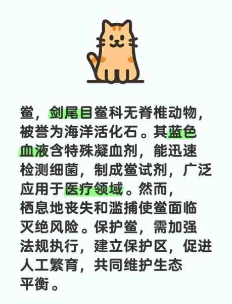 鲎虫和尸鲎的区别_鲎虫是尸鲎吗-第3张图片-山城妙识 鲎虫和尸鲎的区别_鲎虫是尸鲎吗-第3张图片-山城妙识