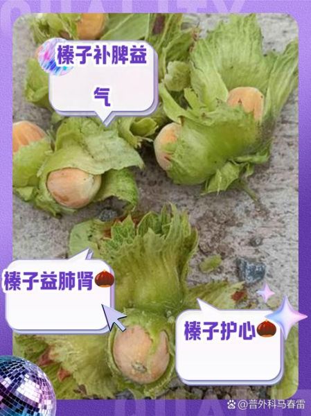 榛子怎么保存_榛子营养价值高吗-第1张图片-山城妙识 榛子怎么保存_榛子营养价值高吗-第1张图片-山城妙识