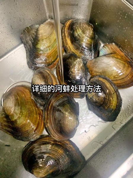 河蚌汤怎么做_河蚌汤需要焯水吗-第2张图片-山城妙识 河蚌汤怎么做_河蚌汤需要焯水吗-第2张图片-山城妙识
