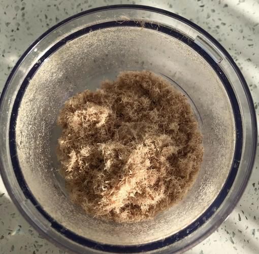 肉松洗了像棉花是真的吗_肉松遇水变棉絮真相-第1张图片-山城妙识 肉松洗了像棉花是真的吗_肉松遇水变棉絮真相-第1张图片-山城妙识