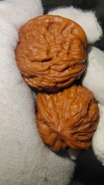 盘核桃的正确手法_盘核桃多久能包浆-第1张图片-山城妙识 盘核桃的正确手法_盘核桃多久能包浆-第1张图片-山城妙识