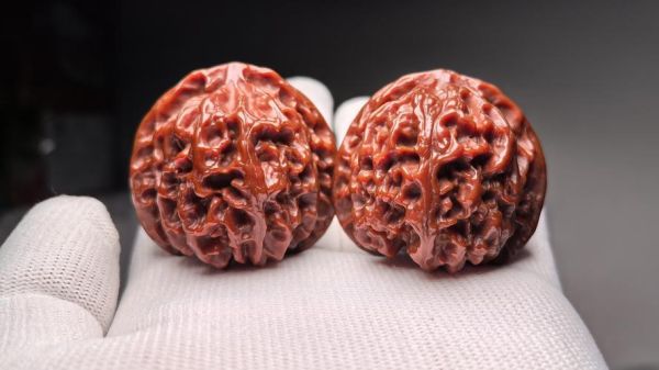 盘核桃的正确手法_盘核桃多久能包浆-第3张图片-山城妙识 盘核桃的正确手法_盘核桃多久能包浆-第3张图片-山城妙识