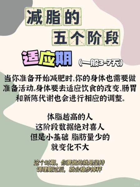 怎样科学减肥不反弹_如何快速有效减脂-第1张图片-山城妙识 怎样科学减肥不反弹_如何快速有效减脂-第1张图片-山城妙识
