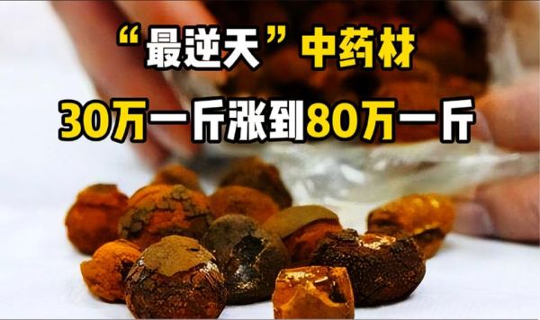 40万一斤的草药有哪些_为什么这么贵-第1张图片-山城妙识