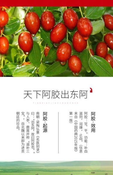 阿胶枣吃了有什么好处_阿胶枣适合什么人吃-第1张图片-山城妙识 阿胶枣吃了有什么好处_阿胶枣适合什么人吃-第1张图片-山城妙识