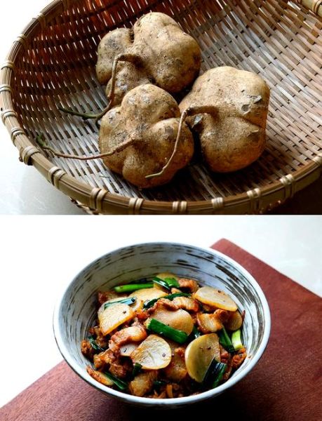 凉薯怎么做好吃_凉薯的做法大全最好吃-第1张图片-山城妙识 凉薯怎么做好吃_凉薯的做法大全最好吃-第1张图片-山城妙识