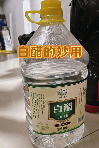 白醋减肥法有用吗_白醋减肥的正确方法-第2张图片-山城妙识 白醋减肥法有用吗_白醋减肥的正确方法-第2张图片-山城妙识