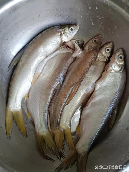 多鱼网巴巴鱼是什么_多鱼网巴巴鱼靠谱吗-第3张图片-山城妙识 多鱼网巴巴鱼是什么_多鱼网巴巴鱼靠谱吗-第3张图片-山城妙识