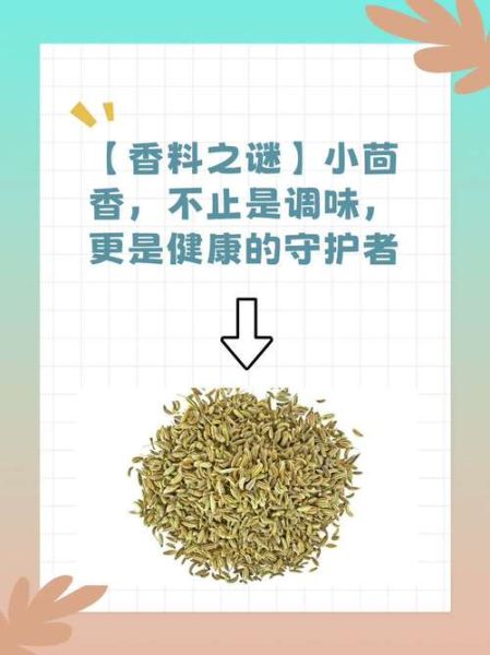 茴香是什么_茴香的种类与功效-第3张图片-山城妙识 茴香是什么_茴香的种类与功效-第3张图片-山城妙识