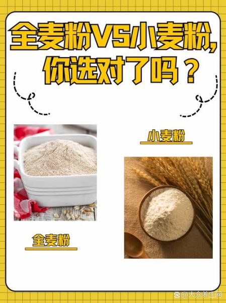 全麦粉是什么面粉_全麦面粉和普通面粉的区别-第2张图片-山城妙识 全麦粉是什么面粉_全麦面粉和普通面粉的区别-第2张图片-山城妙识