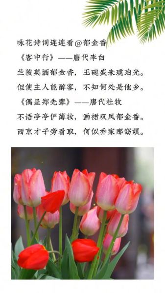 郁金香花语诗句有哪些_如何用它表达爱意-第1张图片-山城妙识