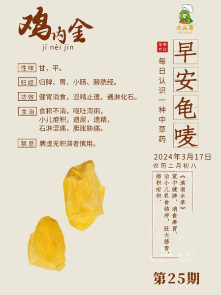 鸡内金适合多大孩子吃_鸡内金用量与注意事项-第1张图片-山城妙识