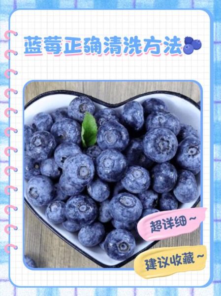 蓝莓怎么洗才干净_蓝莓带皮吃吗-第1张图片-山城妙识 蓝莓怎么洗才干净_蓝莓带皮吃吗-第1张图片-山城妙识