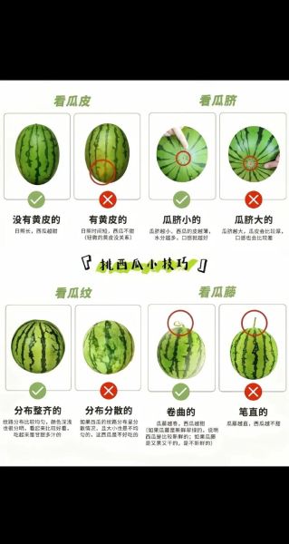 西瓜怎么挑选_西瓜怎么挑选才甜-第1张图片-山城妙识 西瓜怎么挑选_西瓜怎么挑选才甜-第1张图片-山城妙识