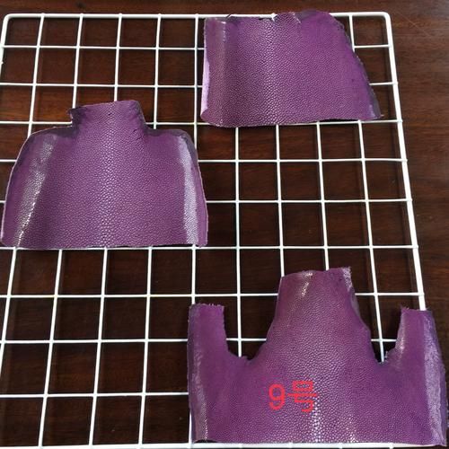 珍珠鱼怎么养_珍珠鱼饲养注意事项-第2张图片-山城妙识 珍珠鱼怎么养_珍珠鱼饲养注意事项-第2张图片-山城妙识