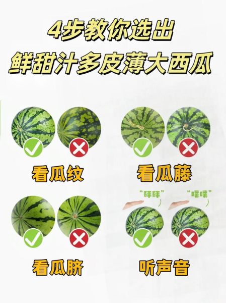 西瓜怎么挑选_西瓜怎么挑选才甜-第2张图片-山城妙识 西瓜怎么挑选_西瓜怎么挑选才甜-第2张图片-山城妙识