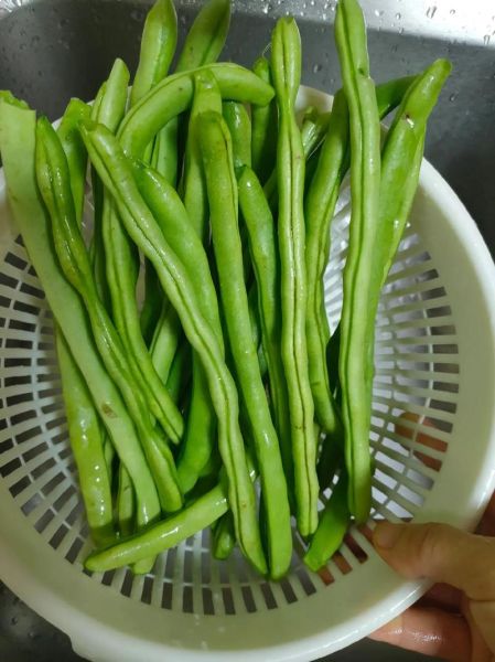 豆角有咯吱声是没熟吗_如何判断豆角是否熟透-第2张图片-山城妙识 豆角有咯吱声是没熟吗_如何判断豆角是否熟透-第2张图片-山城妙识