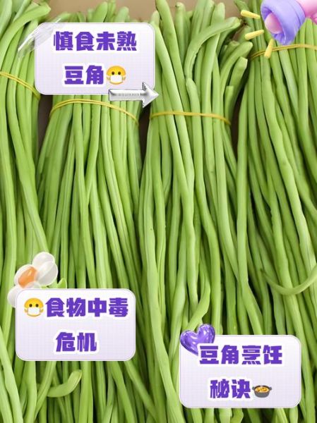 豆角有咯吱声是没熟吗_如何判断豆角是否熟透-第3张图片-山城妙识 豆角有咯吱声是没熟吗_如何判断豆角是否熟透-第3张图片-山城妙识