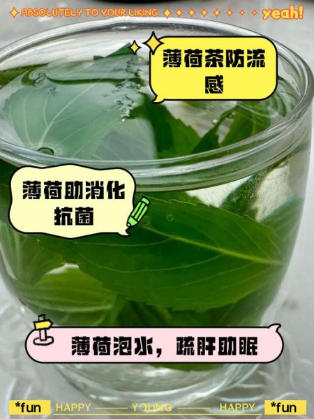 薄荷叶泡水有什么功效_薄荷叶泡水禁忌有哪些-第1张图片-山城妙识 薄荷叶泡水有什么功效_薄荷叶泡水禁忌有哪些-第1张图片-山城妙识