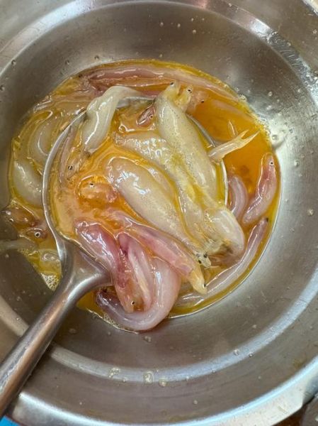 面条鱼是什么鱼_面条鱼产地在哪里-第1张图片-山城妙识 面条鱼是什么鱼_面条鱼产地在哪里-第1张图片-山城妙识